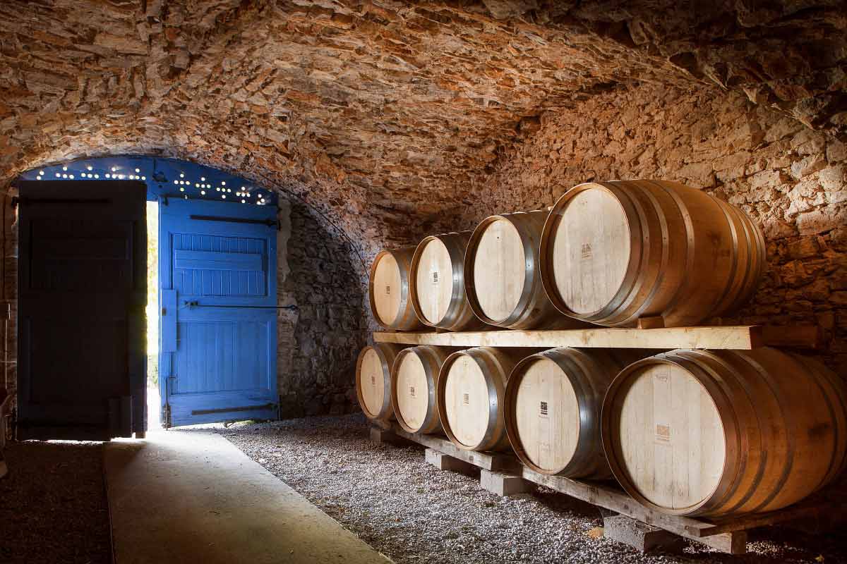 Caveaux de dégustation Vignoble des Cévennes - Le Gard