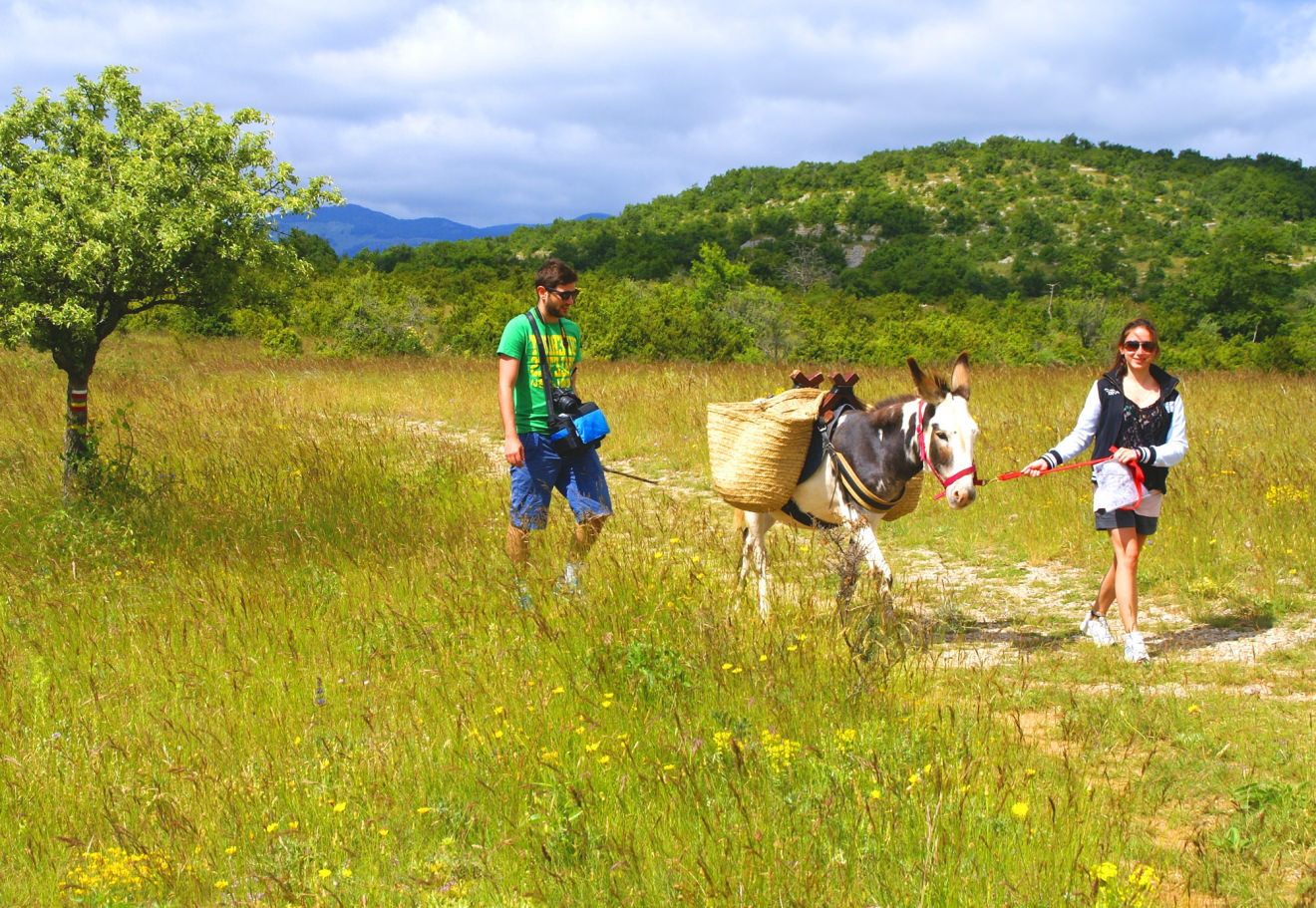 Randonnée A pied dans Gard Tourisme